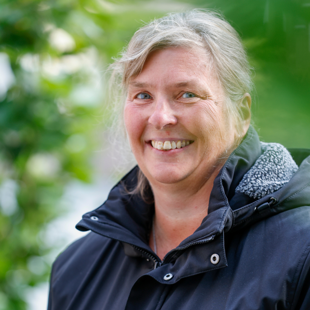 Birgitta - Lights in Alingsås